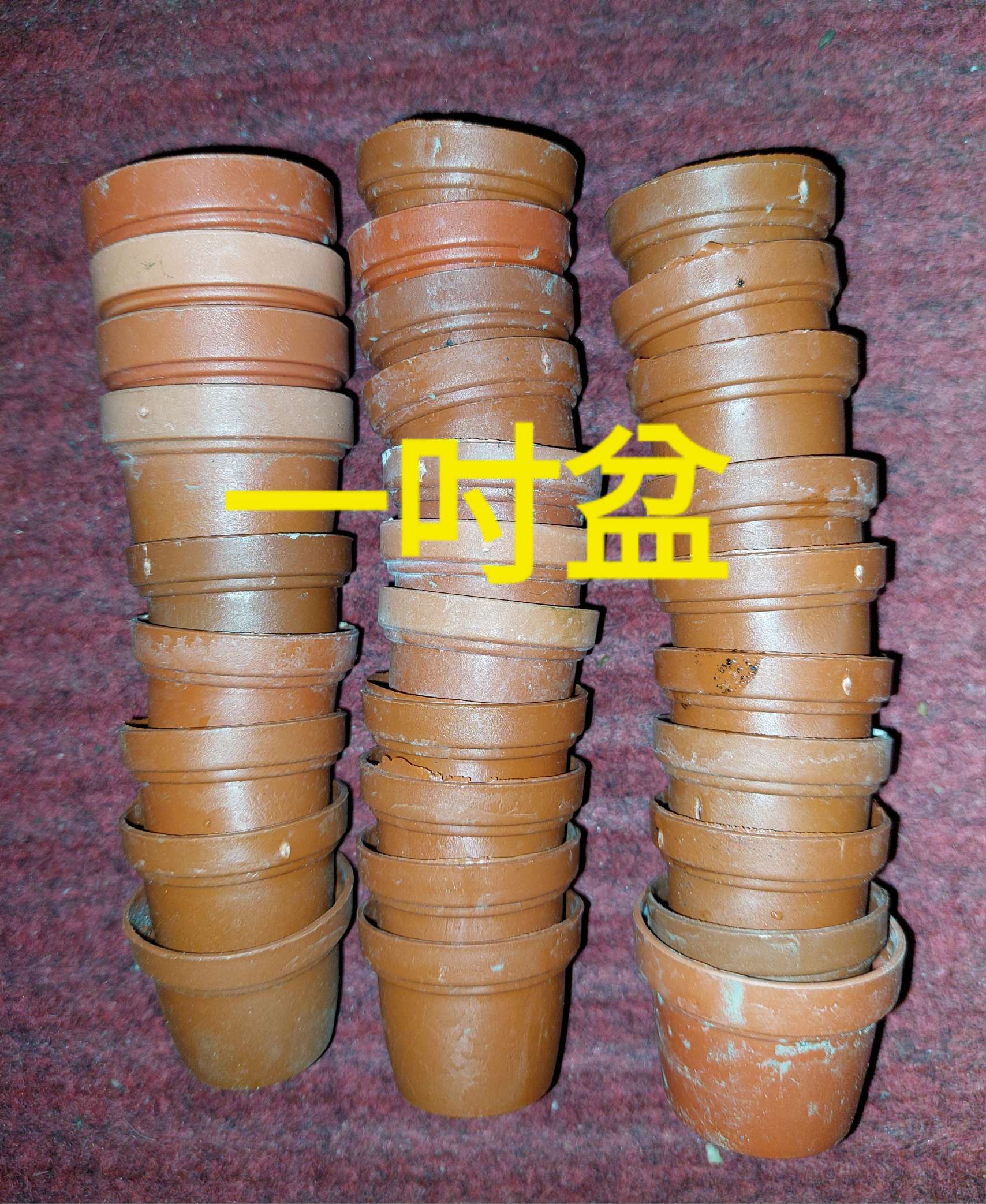 一吋盆 GC贈物網