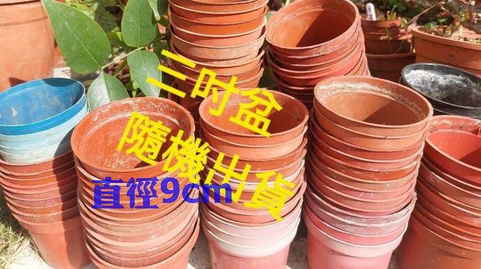 三吋盆 GC贈物網