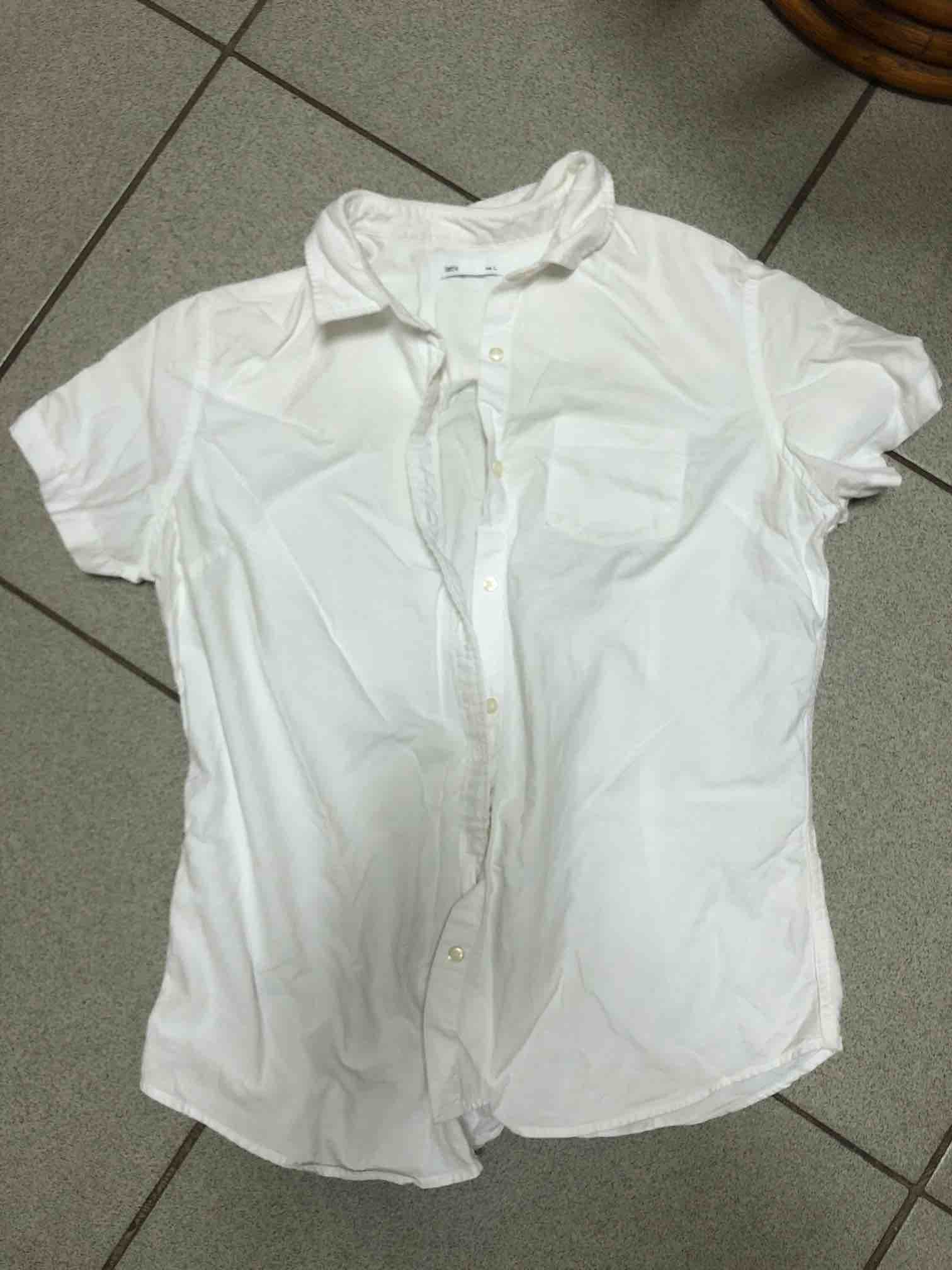 lativ L短袖襯衫 - GC贈物網